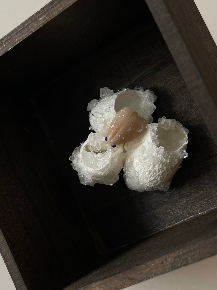 Moon Silk – www.elementalurchin.com